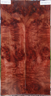 Asian Pan Burl – Cook Woods