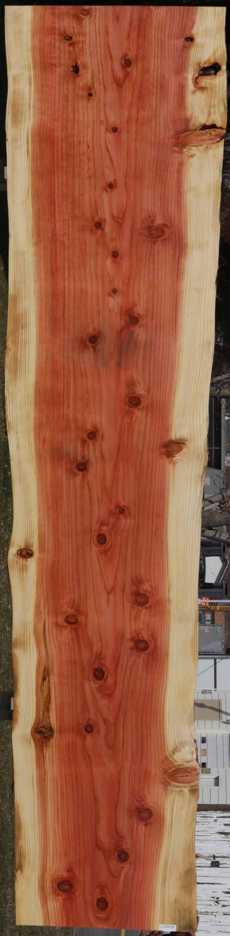 Sequoia Slab – Cook Woods