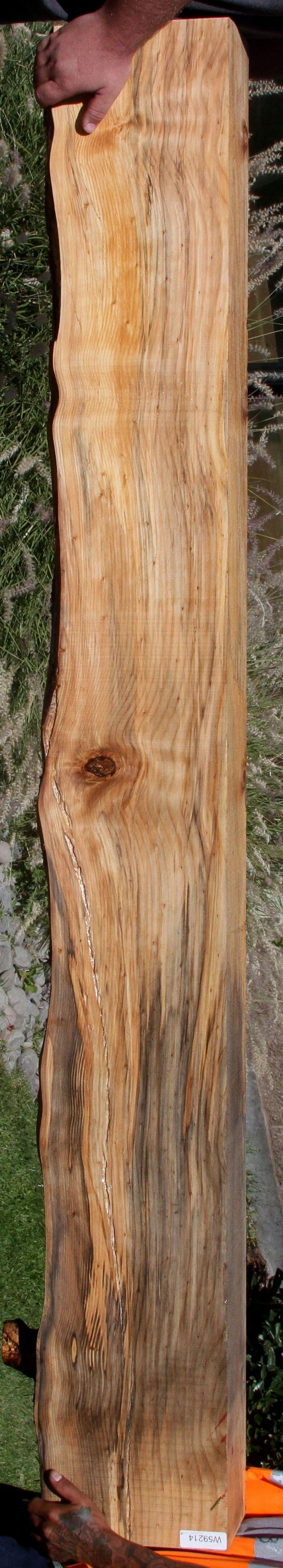 Monkey Puzzle Slab – Cook Woods