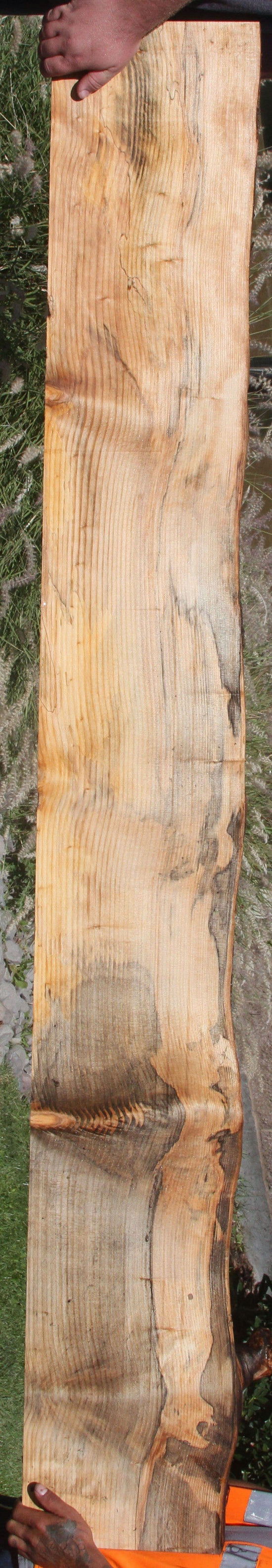 Monkey Puzzle Slab – Cook Woods