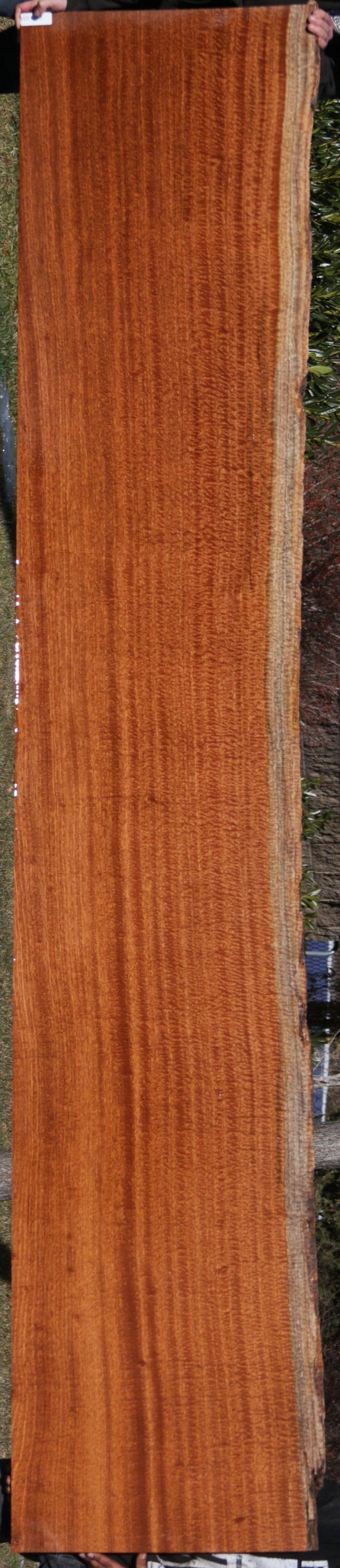 Exhibition Pomelle Sapele Live Edge Lumber – Cook Woods