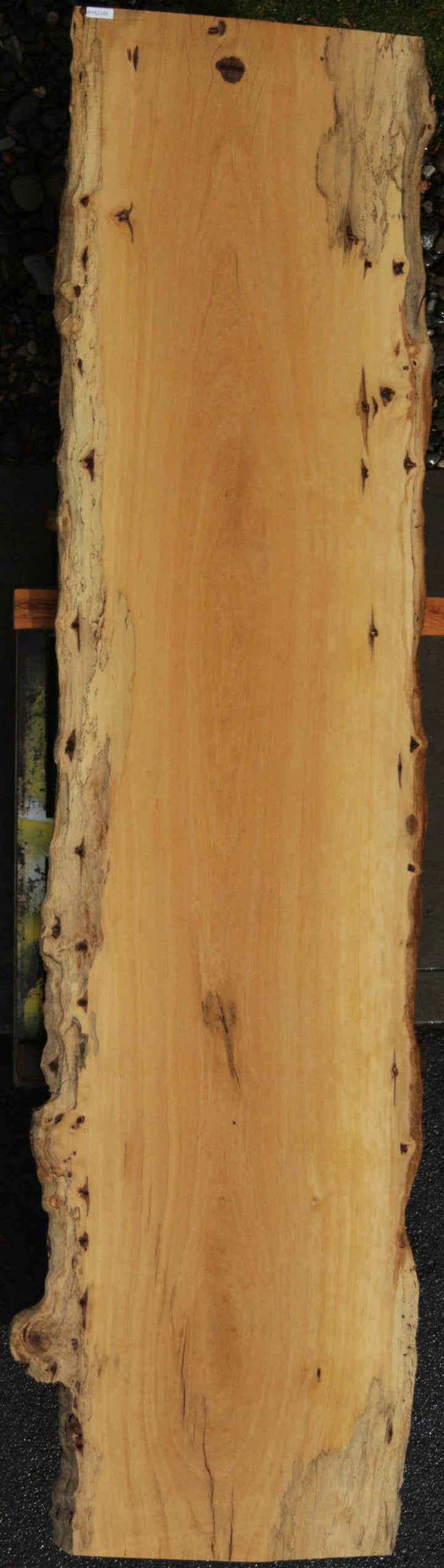 Lumber & Slabs – Cook Woods