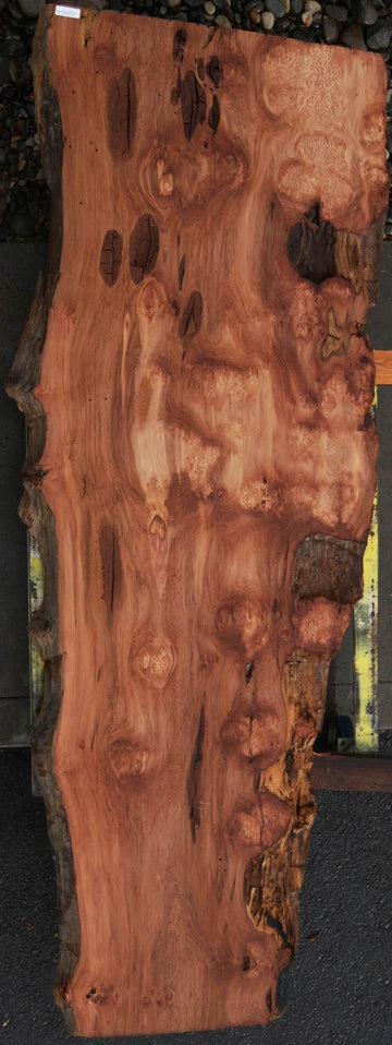 Lumber & Slabs – Cook Woods