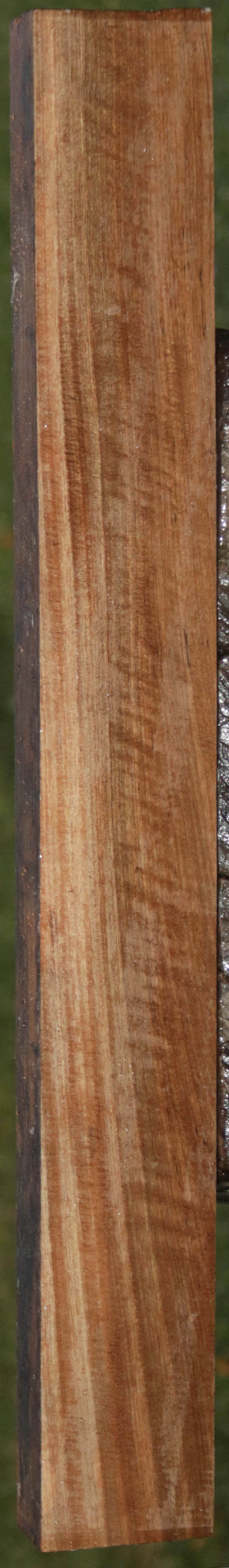 Extra Fancy Curly Pyinma Lumber – Cook Woods
